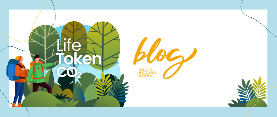 ¿Por qué el proyecto Life Token CO₂ es esencial para mitigar el cambio ...
