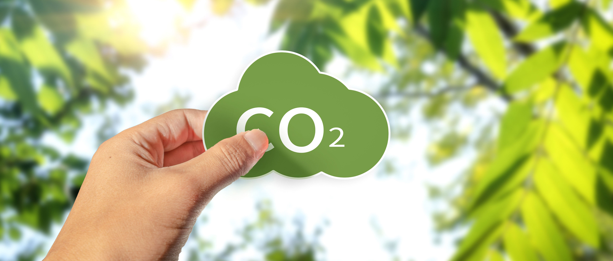 Life Token CO₂ reconocido por la Comisión Europea como innovación clave ...